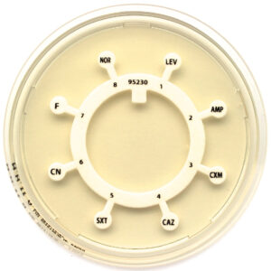 Antibiotic Sensitivity Discs - SUPERWORTH BIO